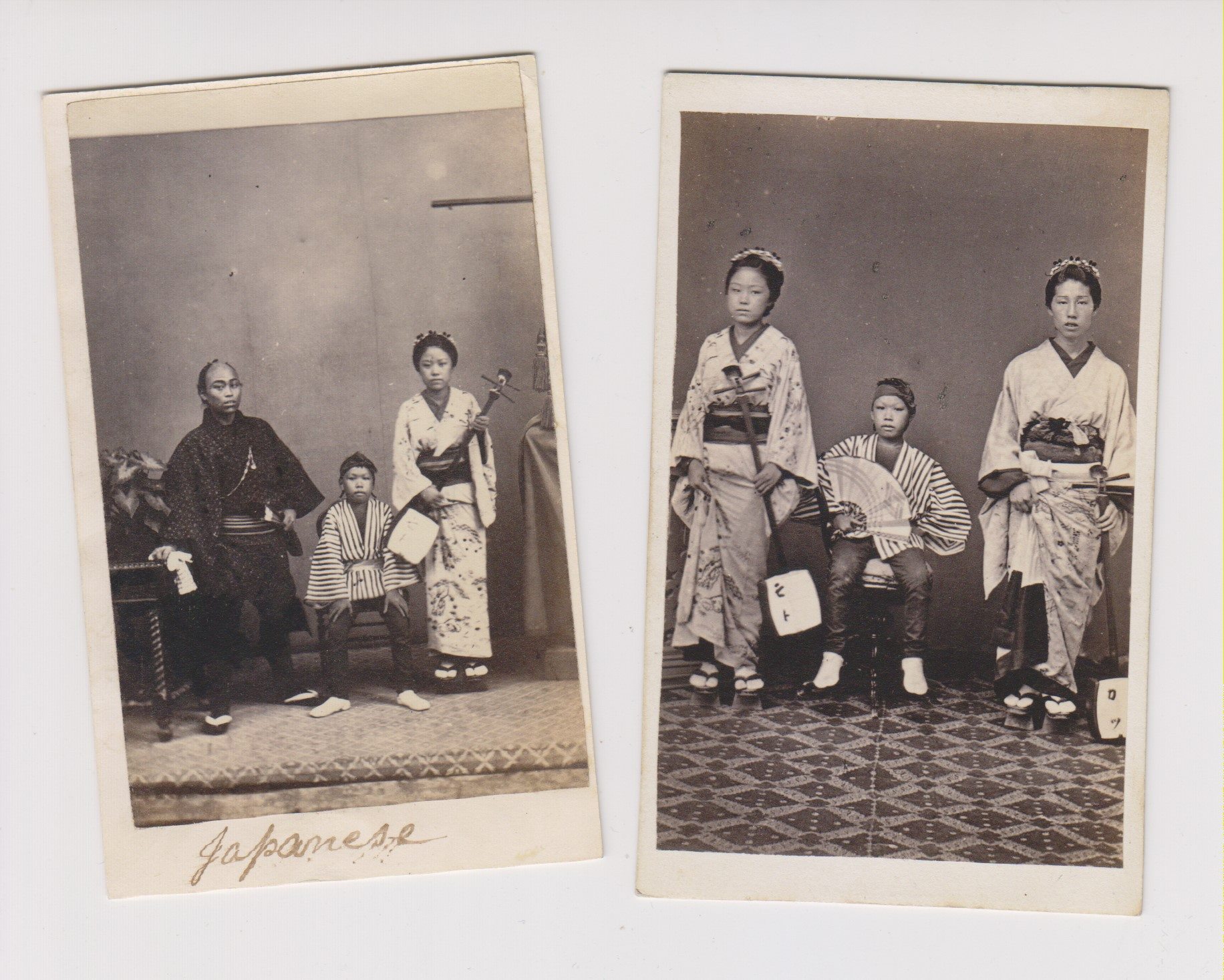 Tamamoto Chiyokichi/Motokichi 1856-1925 – Ninjin